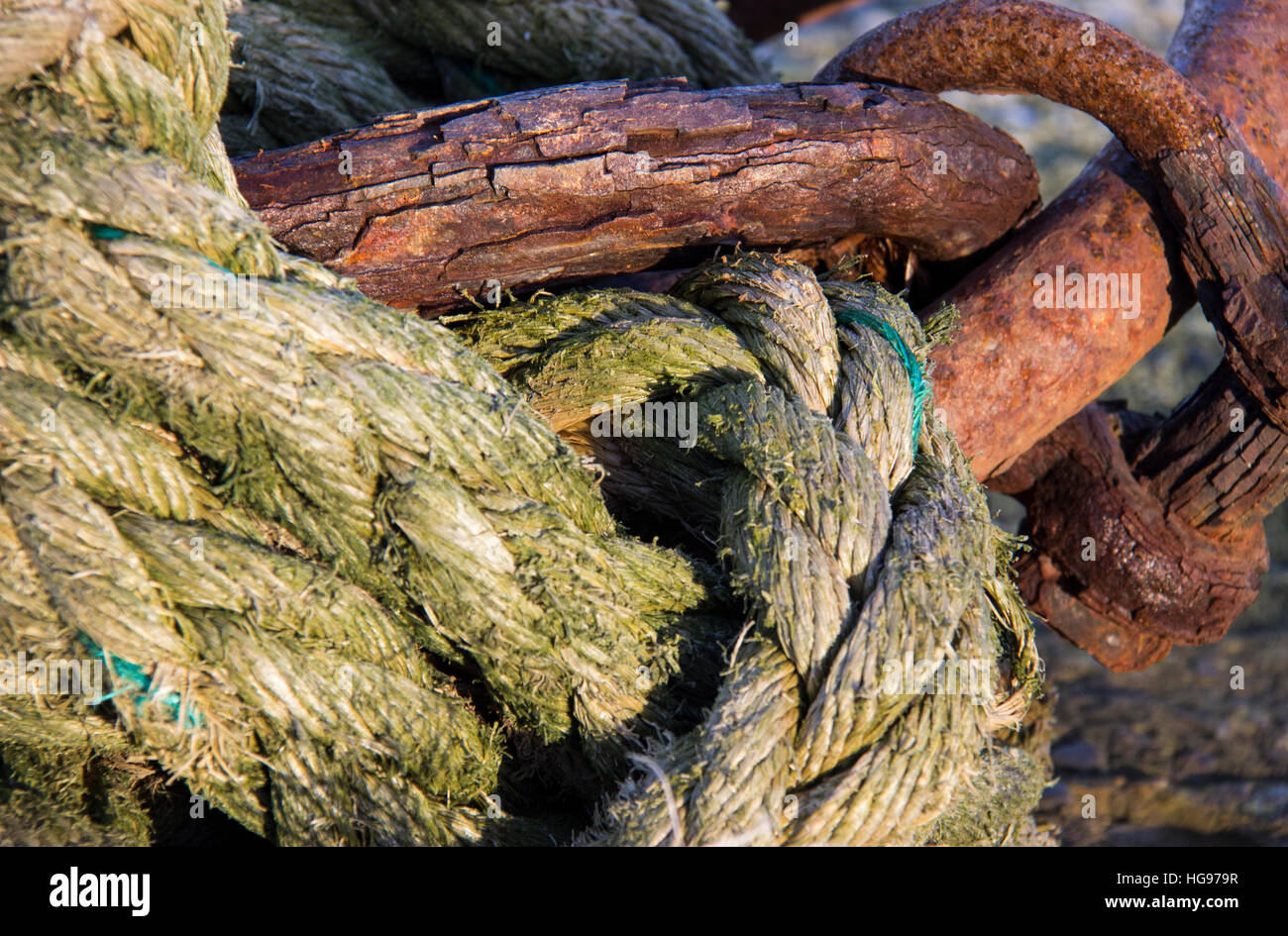 All tied up Stock Photo - Alamy