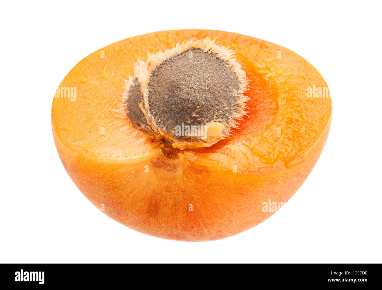 Apricot fruit closeup isolated on white background Stock Photo - Alamy