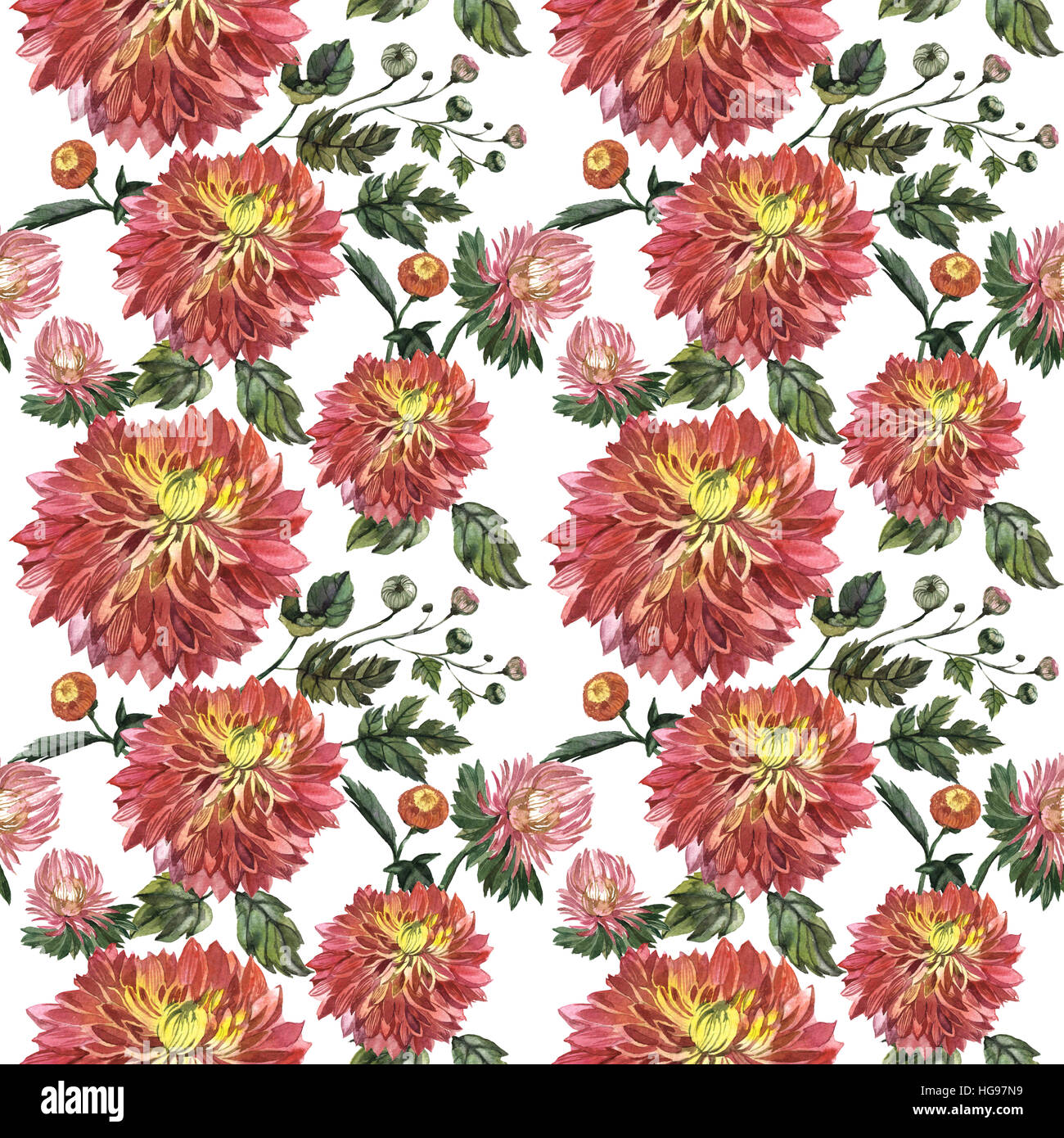 Wildflower aster flower pattern in a watercolor style isolated Stock ...