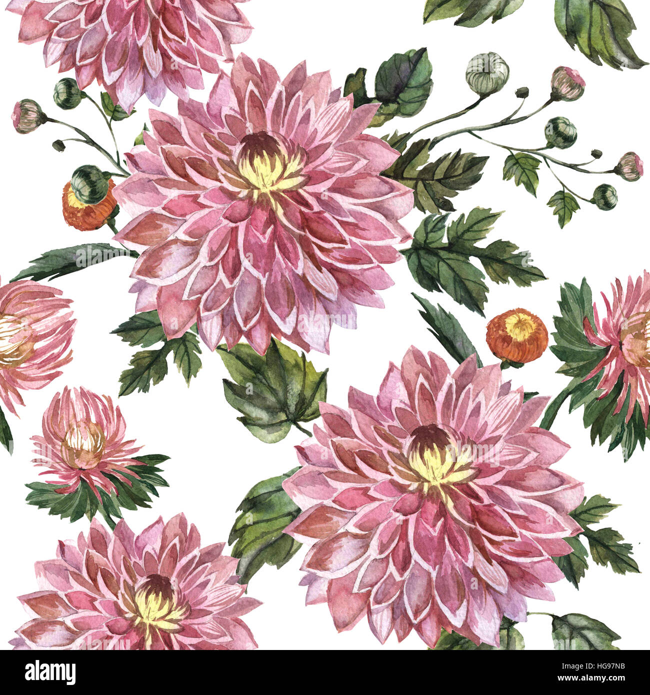 Wildflower aster flower pattern in a watercolor style isolated Stock ...