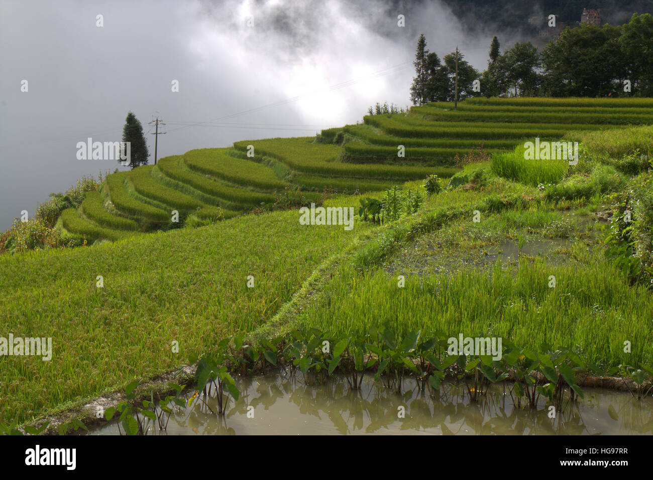 Yuanyang hani rice terraces hi-res stock photography and images - Alamy