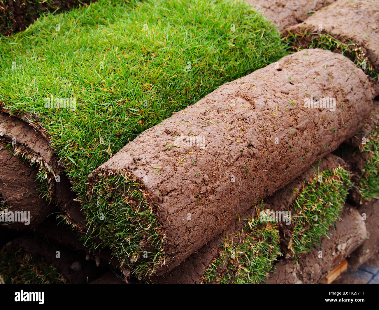 Carpet of turf - roll of sod - turf grass roll Stock Photo - Alamy