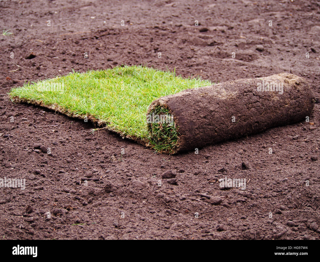 Carpet of turf - roll of sod - turf grass roll Stock Photo - Alamy