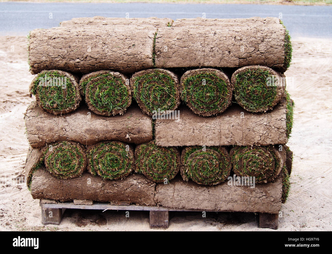Carpet of turf - roll of sod - turf grass roll Stock Photo - Alamy