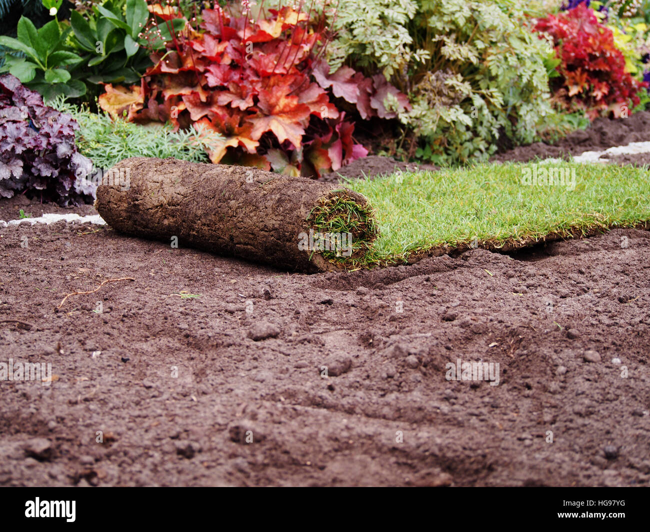 Sod roll hi-res stock photography and images - Alamy