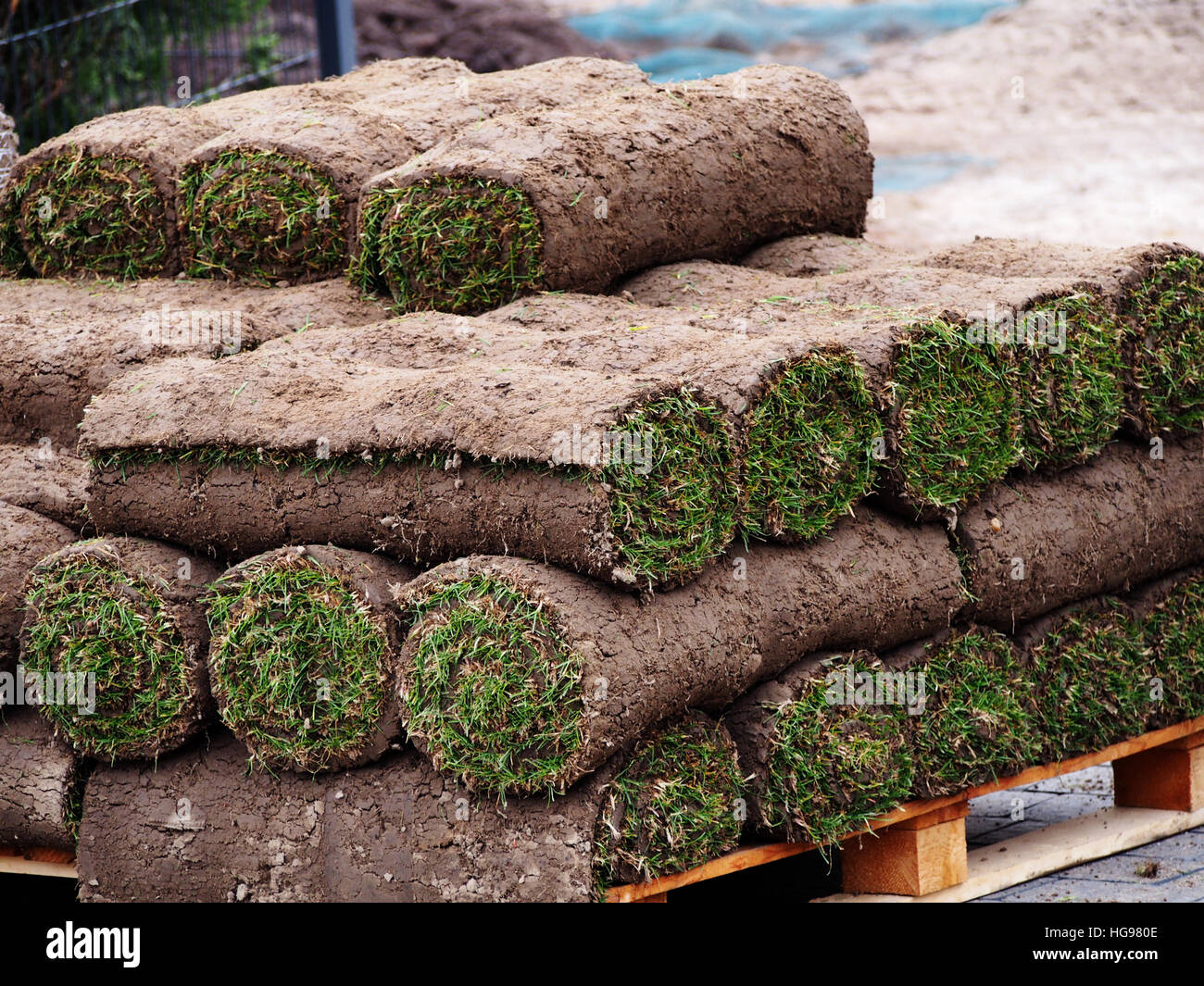 Carpet of turf - roll of sod - turf grass roll Stock Photo - Alamy