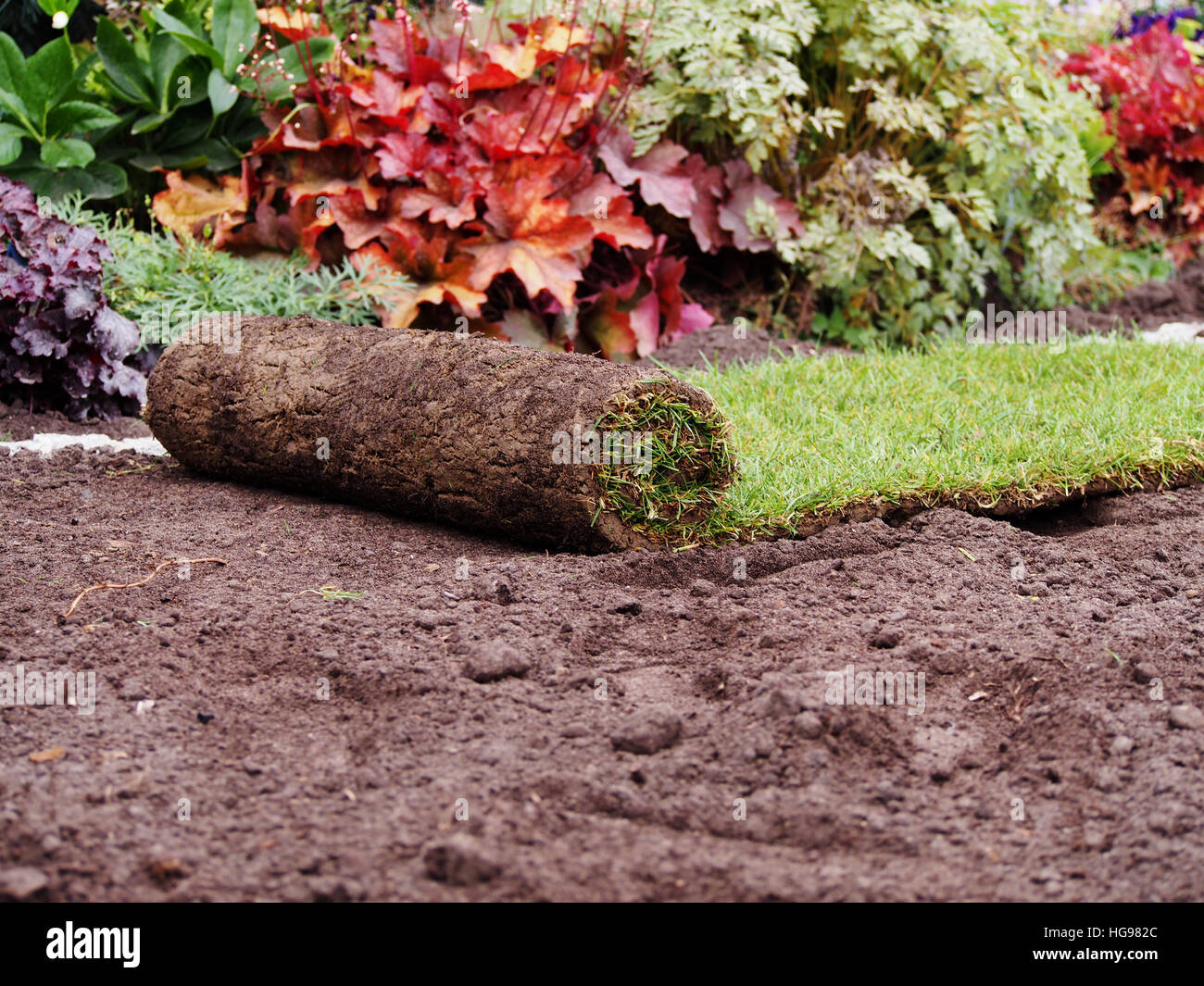 Carpet of turf - roll of sod - turf grass roll Stock Photo - Alamy