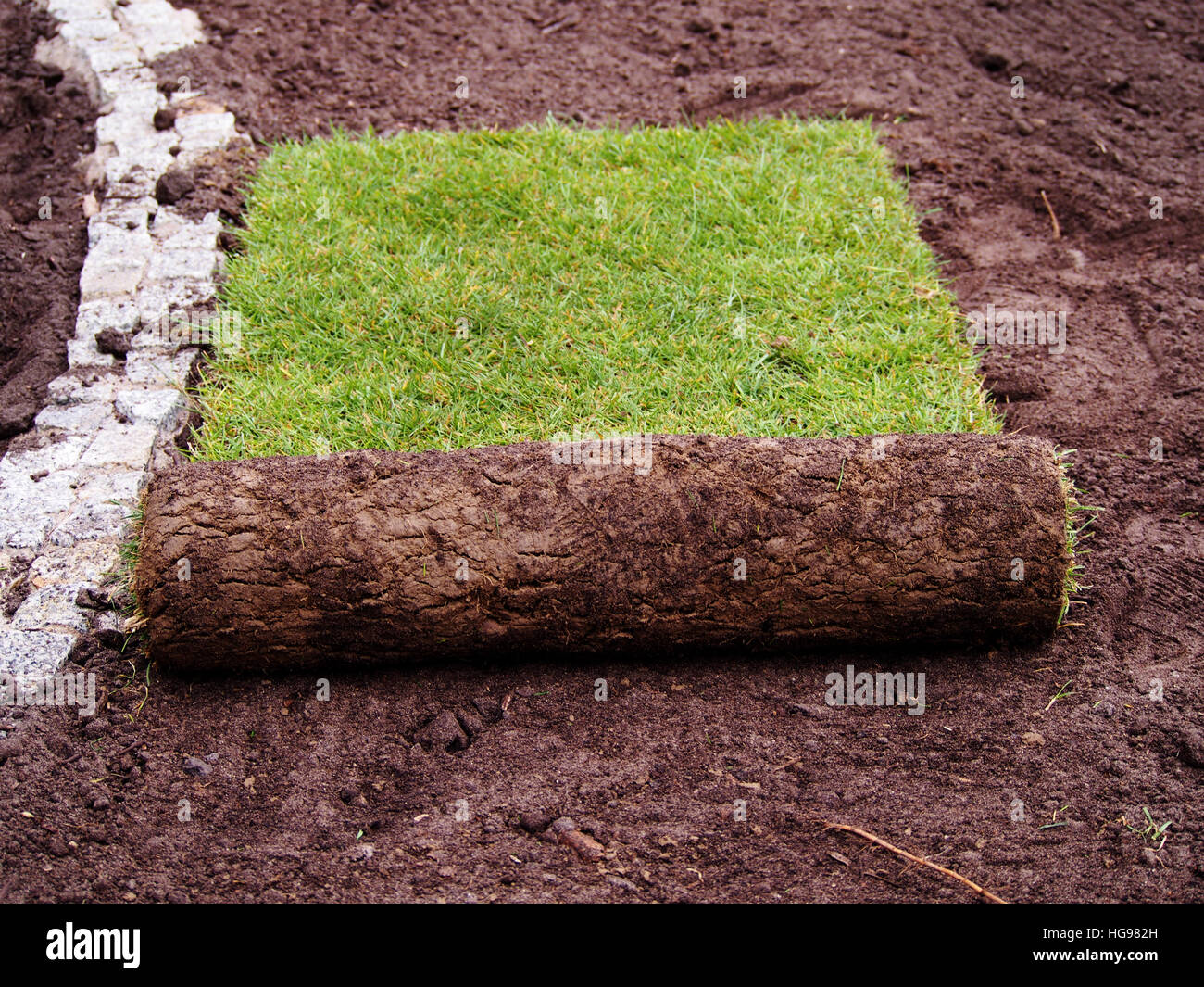 Carpet of turf - roll of sod - turf grass roll Stock Photo - Alamy