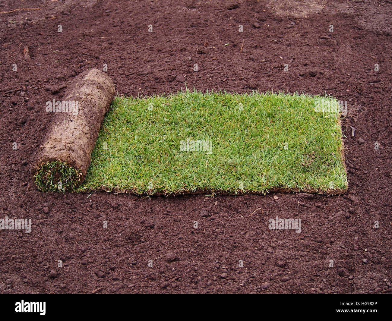 Carpet of turf - roll of sod - turf grass roll Stock Photo - Alamy