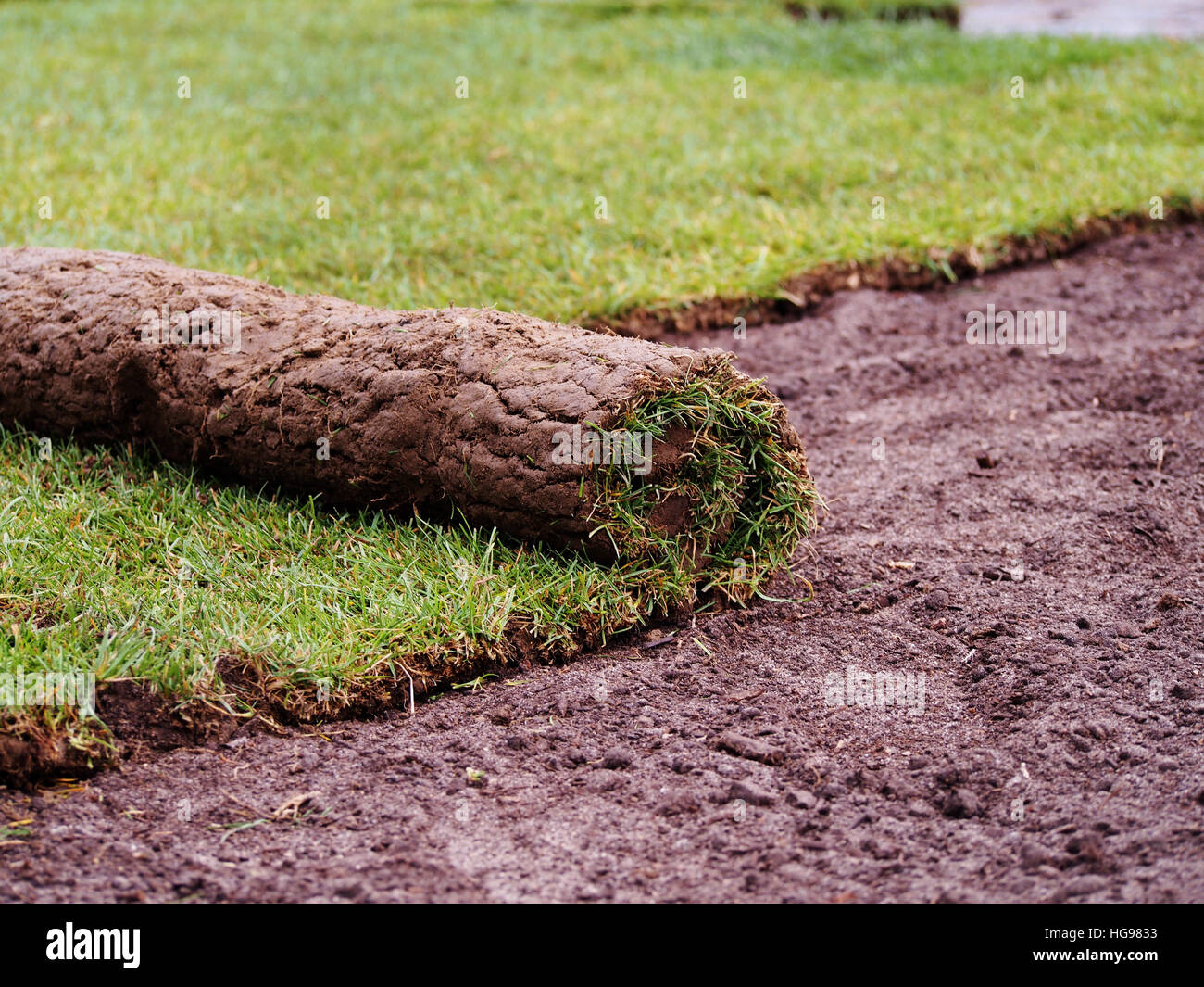 Turf carpet hi-res stock photography and images - Alamy