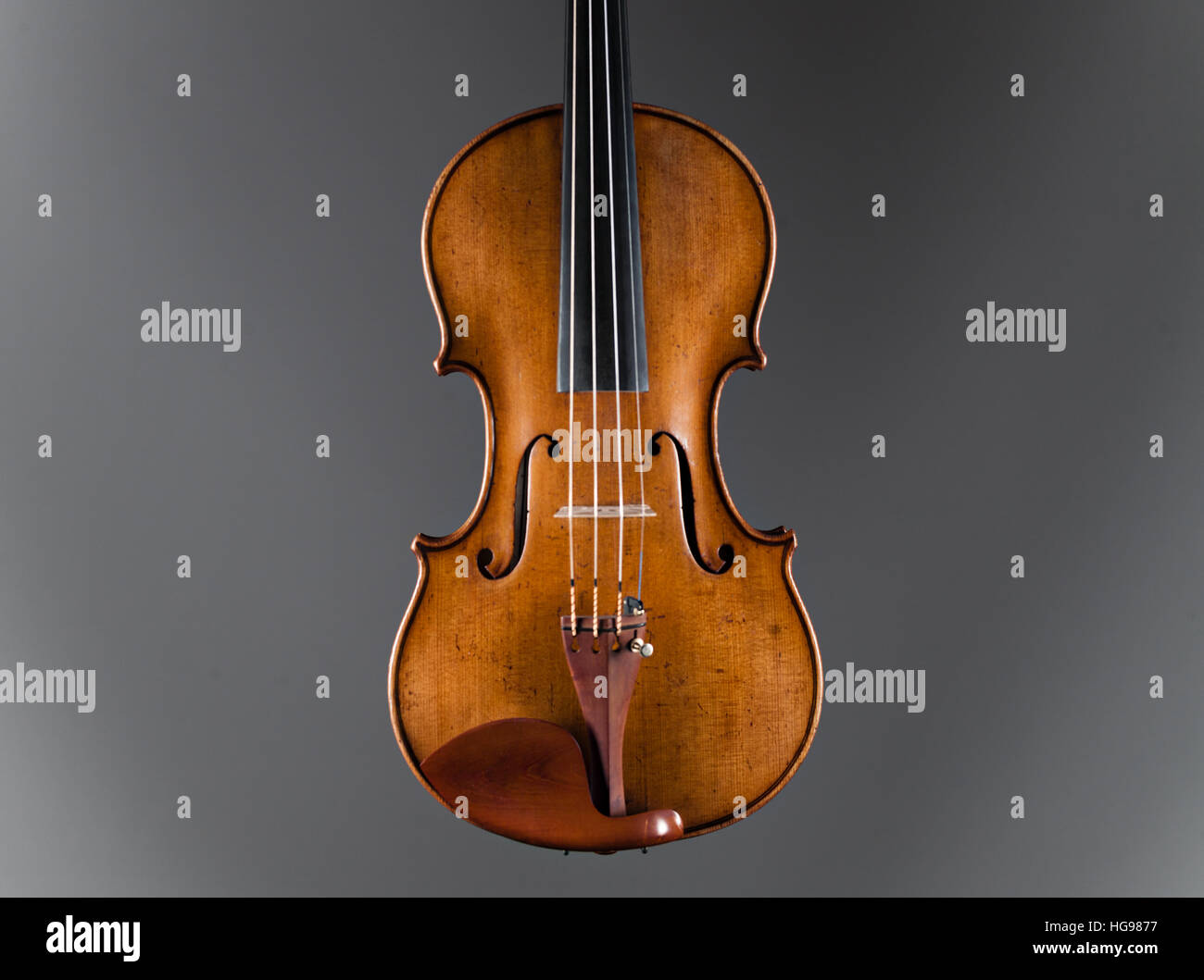 Stringed Musical Instrument, a violin on a white - grey background ...