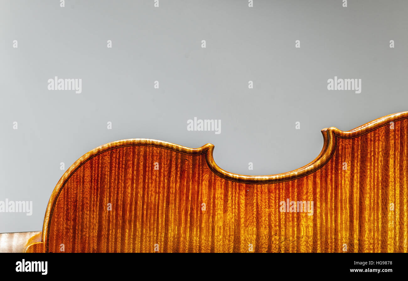 Stringed Musical Instrument, a violin on a white - grey background ...