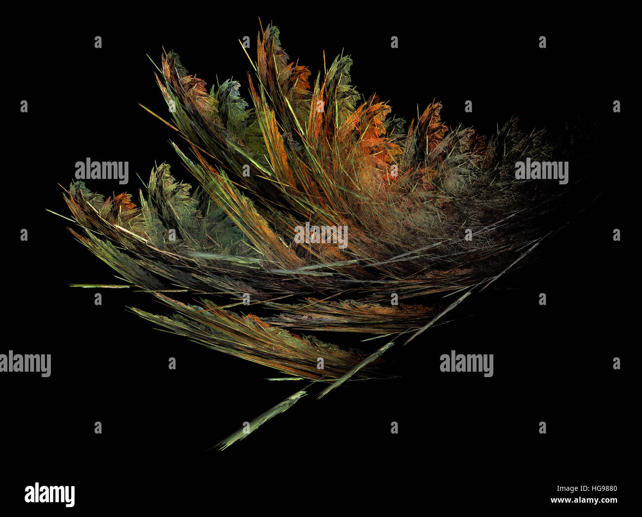 Fractal leaf hi-res stock photography and images - Alamy