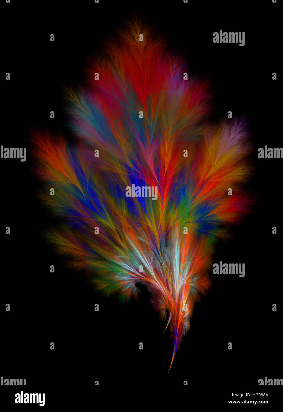 Coloured feathers hi-res stock photography and images - Alamy