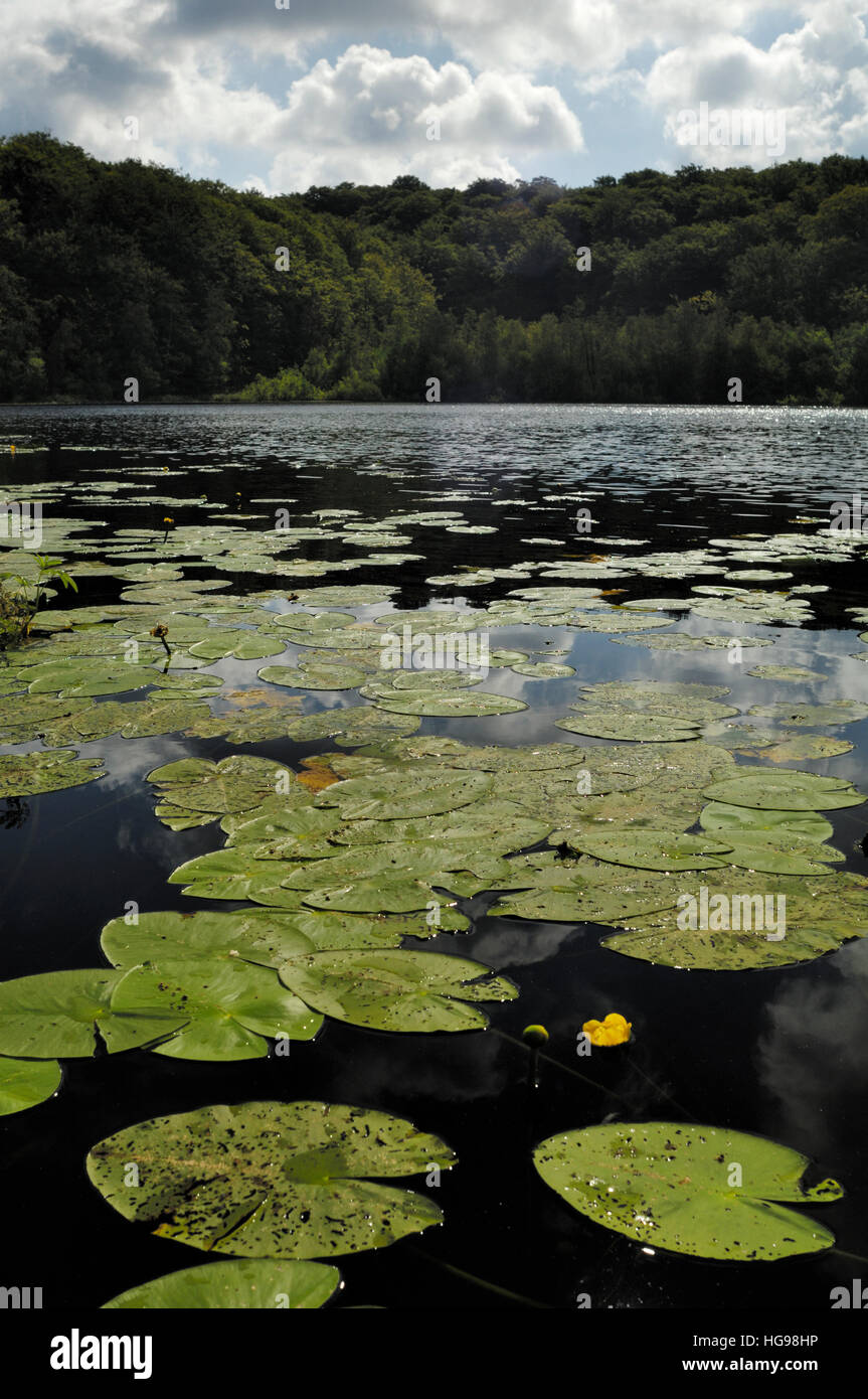 Lake schwarzer see hi-res stock photography and images - Alamy