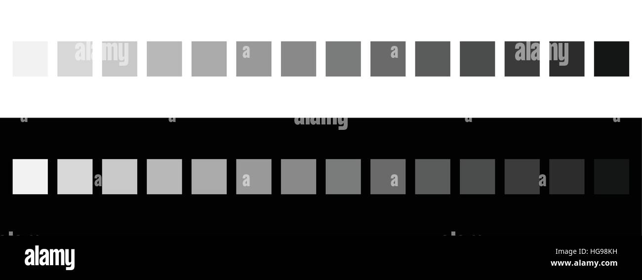 Monotone color palette hi-res stock photography and images - Alamy