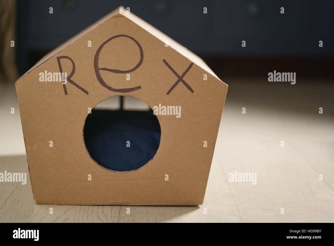 empty homemade cats house on the floor Stock Photo - Alamy