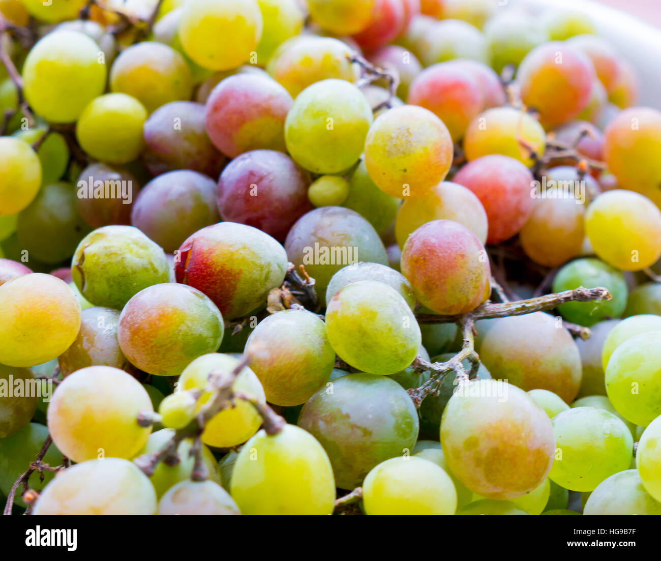 The vegetable variocolored grape object Stock Photo - Alamy