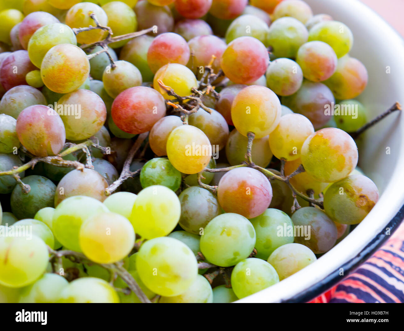 The vegetable variocolored grape object Stock Photo - Alamy