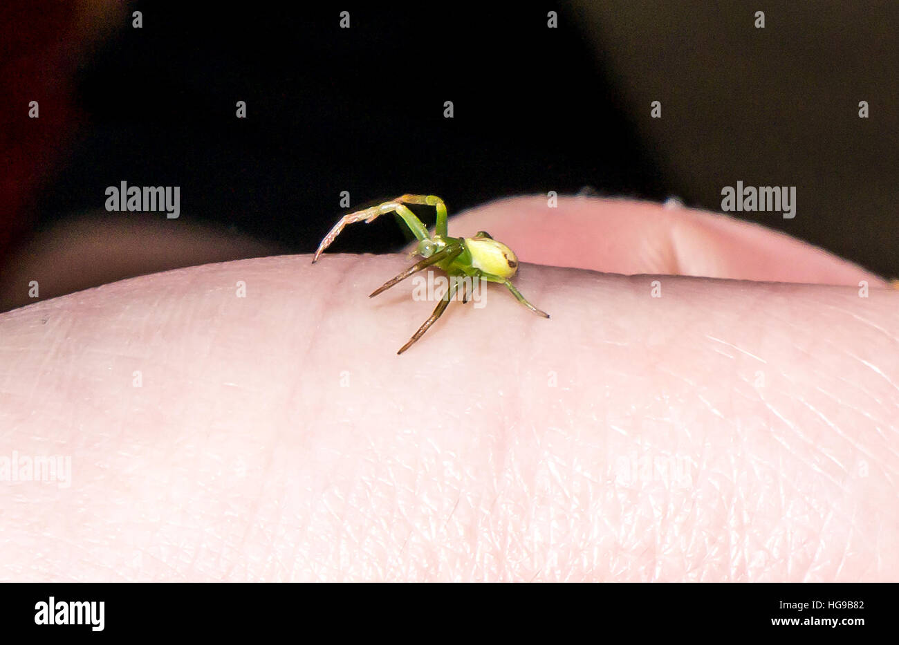 Hand on legs hi-res stock photography and images - Alamy