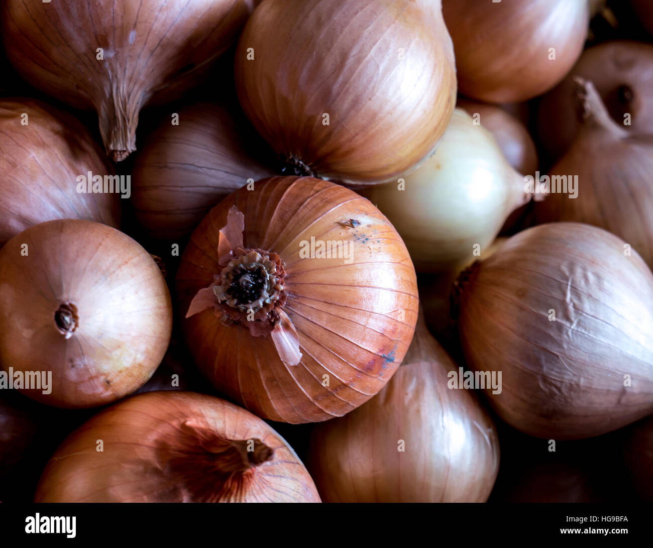 The Onions background and texture Stock Photo - Alamy