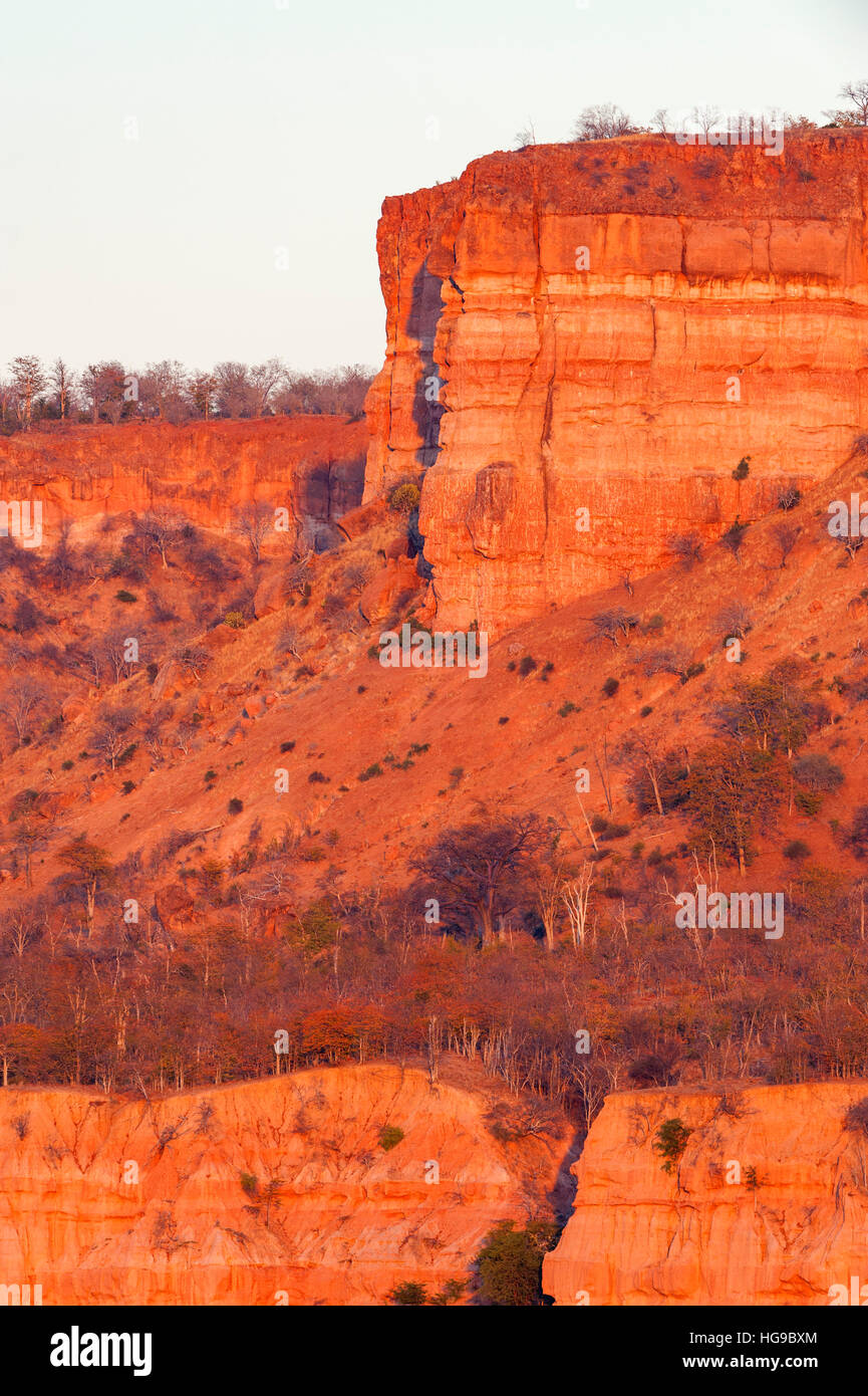 Elephants walking Chilojo Cliffs Gonarezhou sunset Stock Photo - Alamy