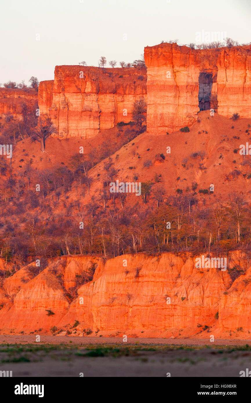 Elephants walking Chilojo Cliffs Gonarezhou sunset Stock Photo - Alamy