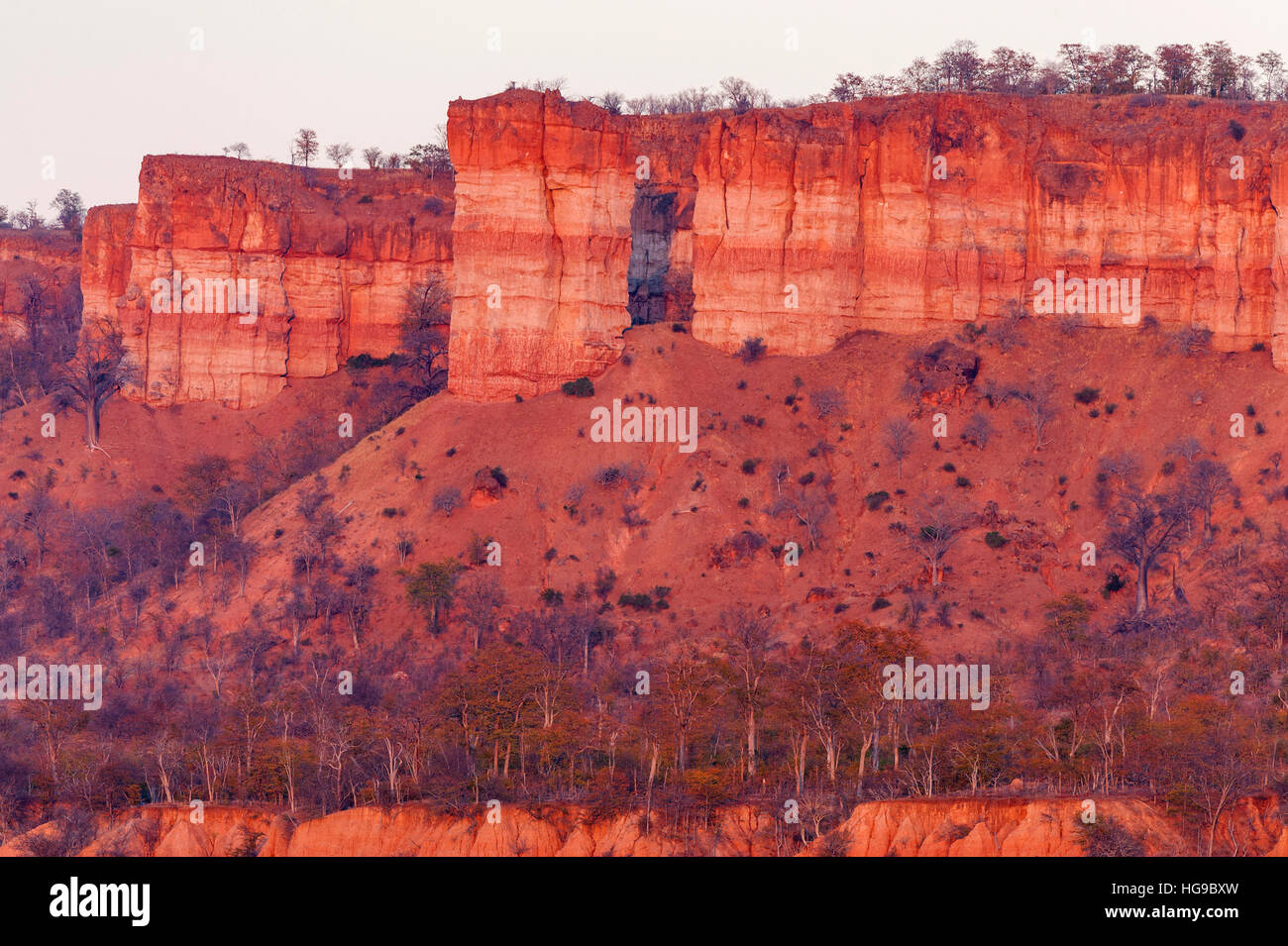 Elephants walking Chilojo Cliffs Gonarezhou sunset Stock Photo - Alamy
