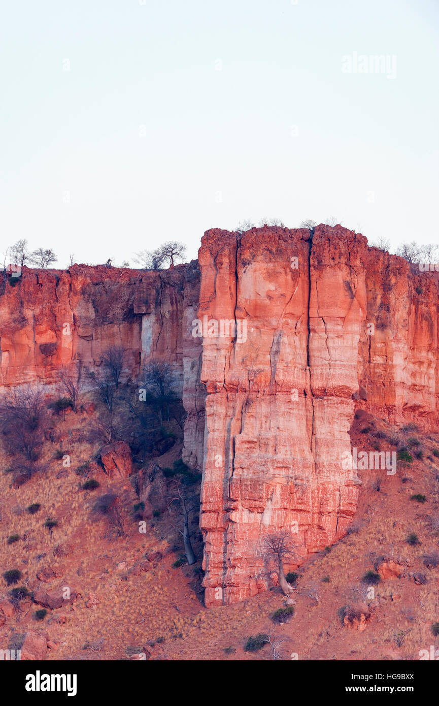 Elephants walking Chilojo Cliffs Gonarezhou sunset Stock Photo - Alamy