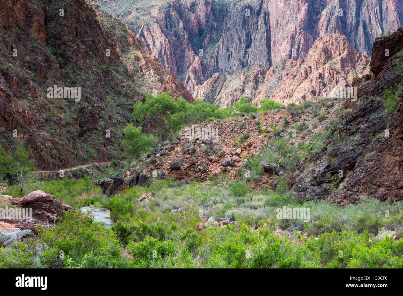 The Vishnu Basement Rocks rising up behind the North Kaibab Trail and ...