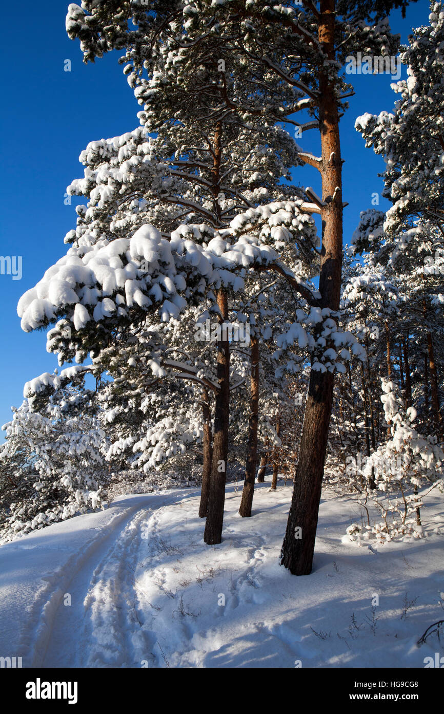 Polska zima hi-res stock photography and images - Alamy