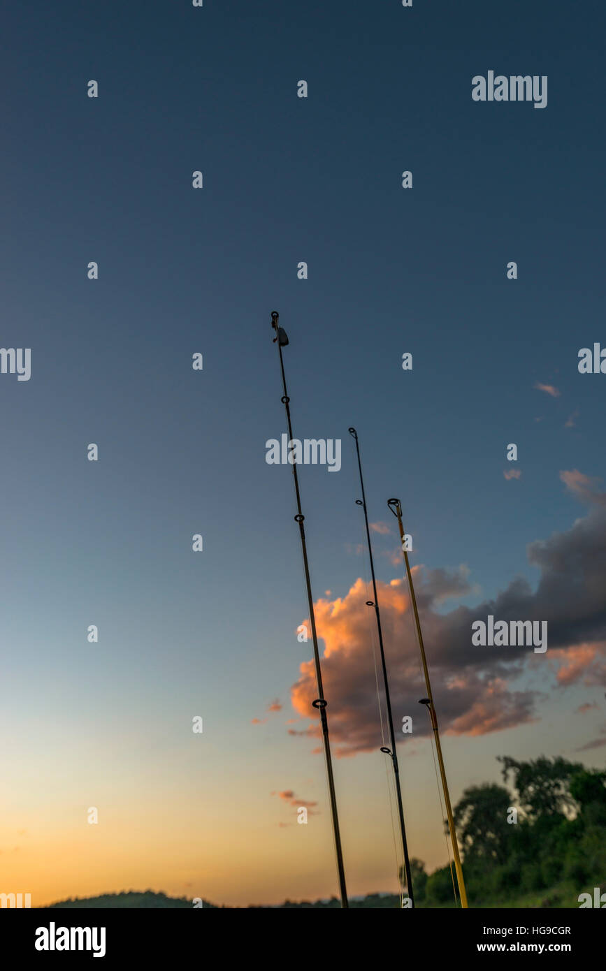 Fishing angling bream tiger Zambezi River Zimbabwe Stock Photo - Alamy