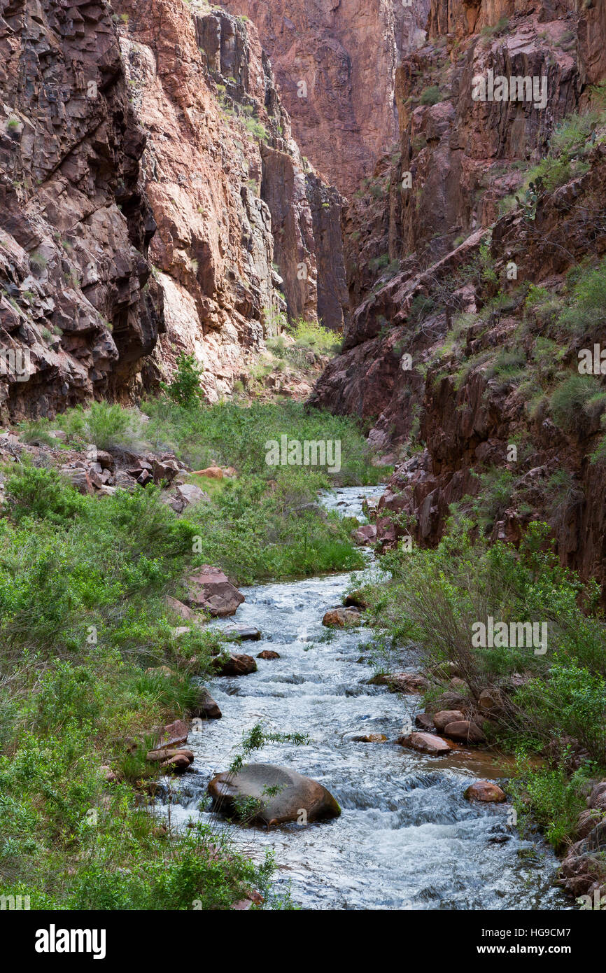 Bright Angel Creek flowing through the Vishnu Basement Rocks along the ...