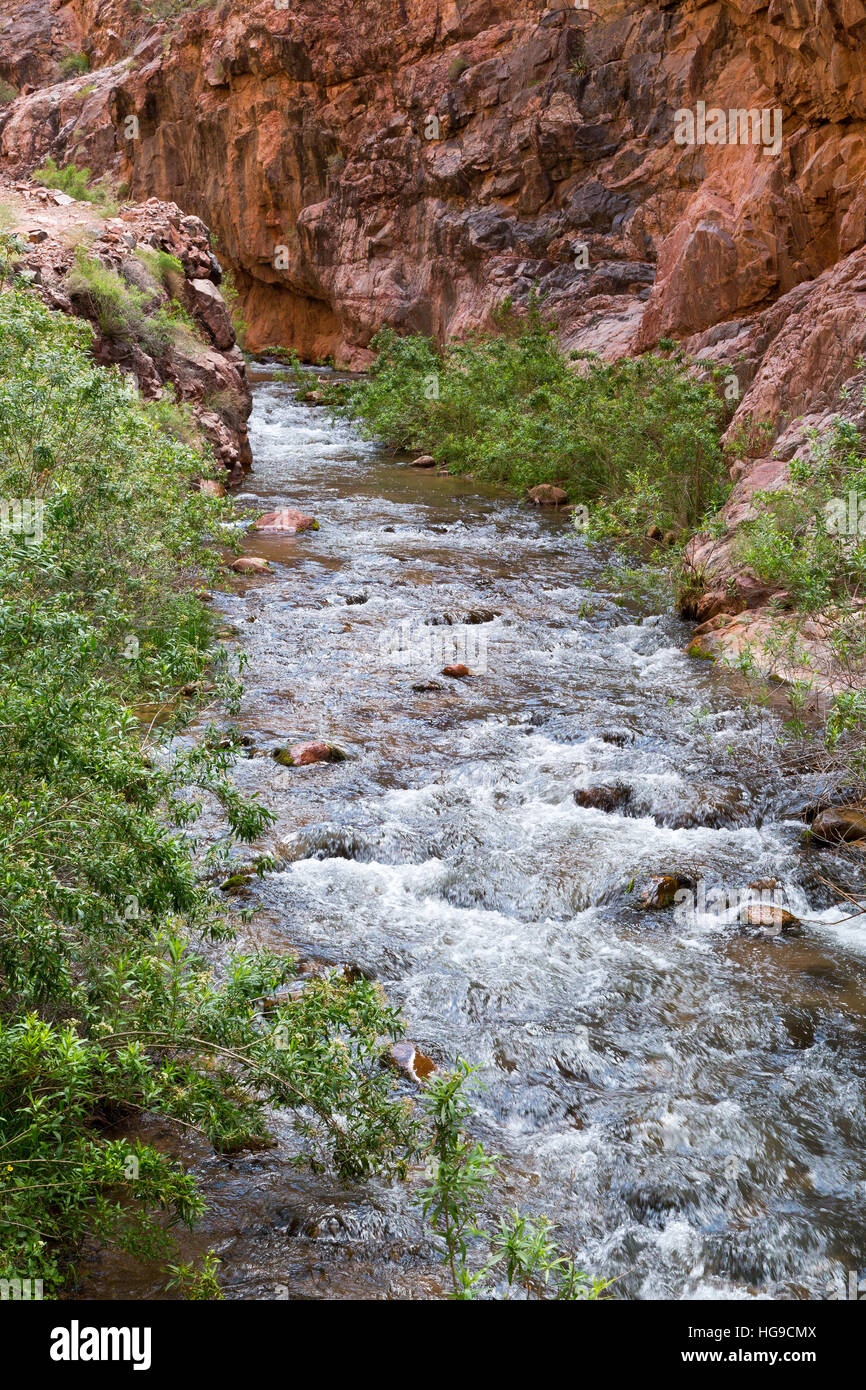 Bright Angel Creek flowing through the Vishnu Basement Rocks along the ...