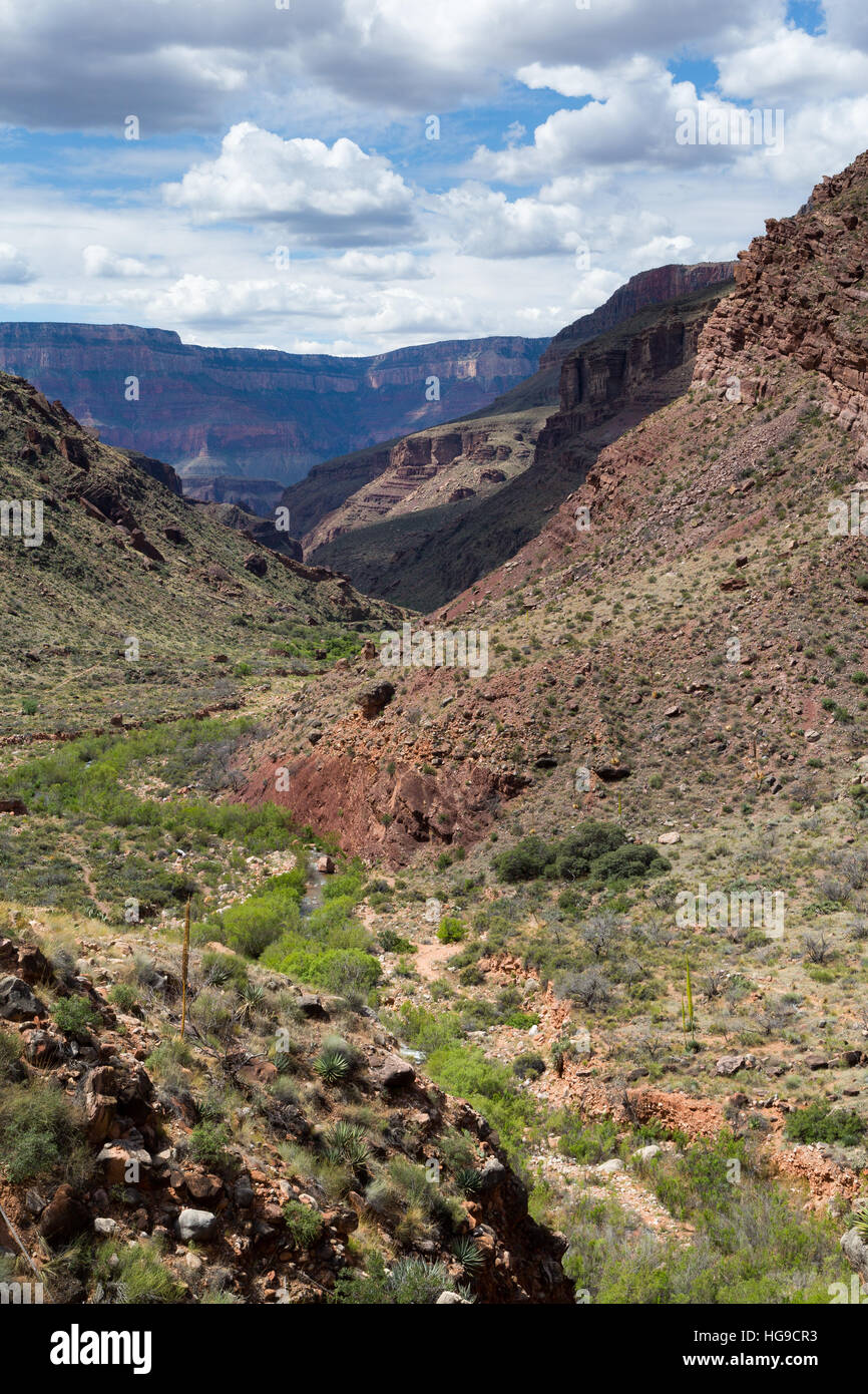 The South Rim of the Grand Canyon behind the lower elevations of the ...