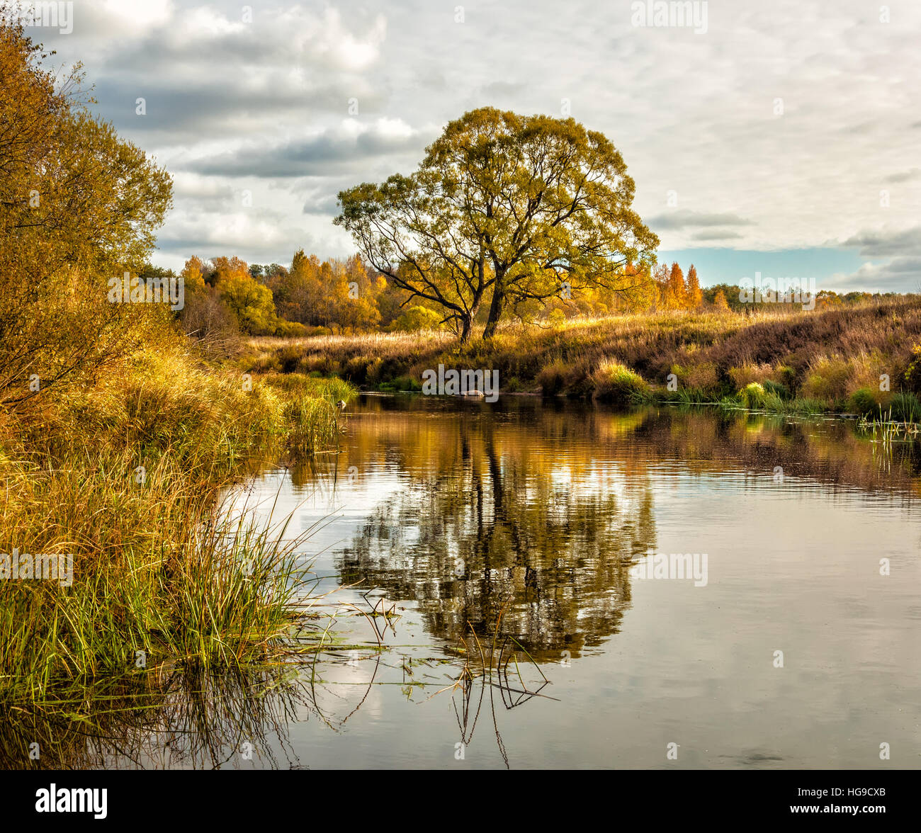 Opposite colors in nature hi-res stock photography and images - Alamy