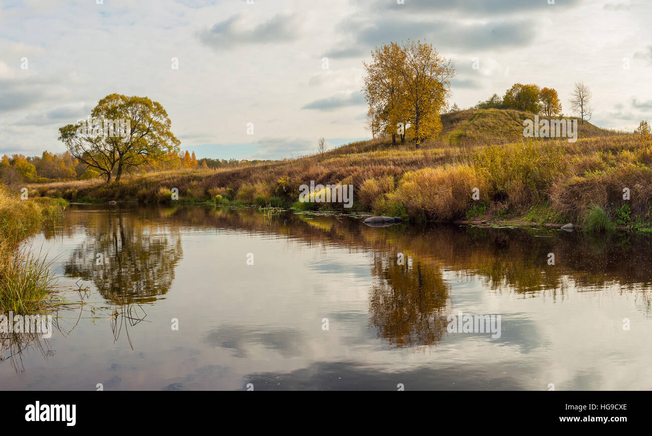 Bright colors of Golden autumn in the reserve Stock Photo - Alamy