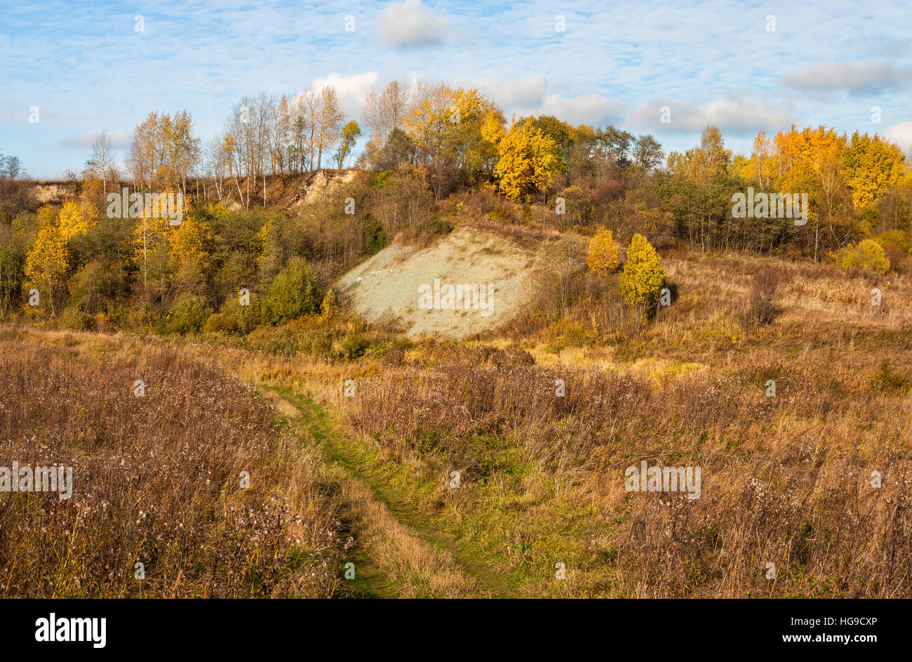 Bright colors of Golden autumn in the reserve Stock Photo - Alamy