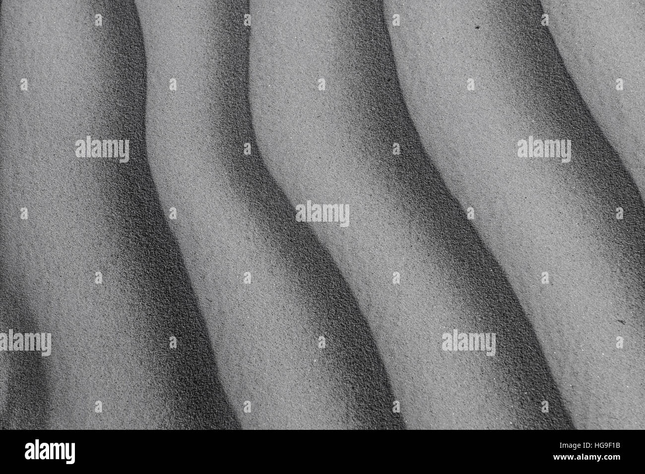 Sand dune gray color close-up Stock Photo - Alamy