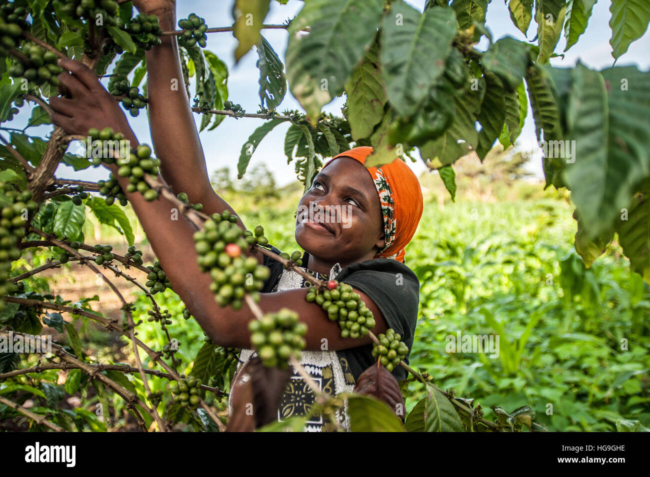 Uganda farming woman hi-res stock photography and images - Alamy