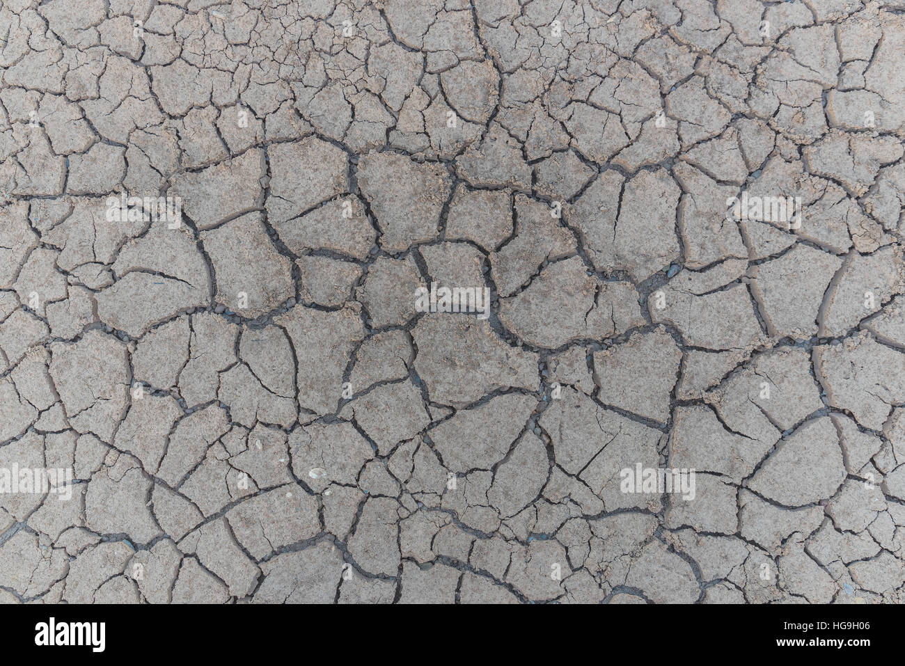 Dry cracked earth background, clay desert texture Stock Photo - Alamy