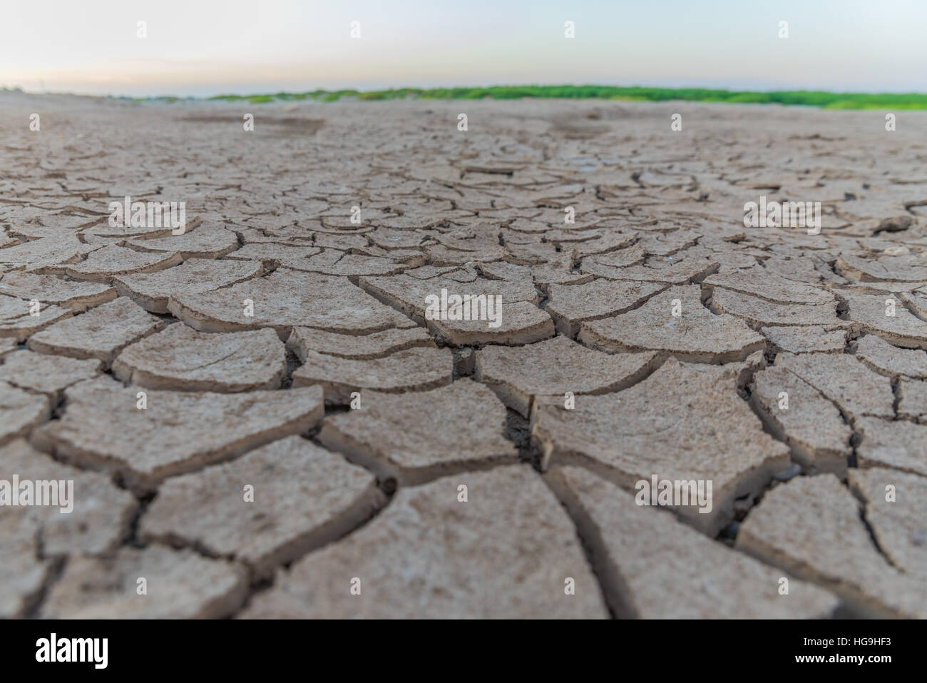 Dry cracked earth background, clay desert texture Stock Photo - Alamy