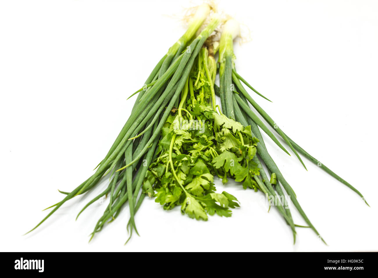 bunch of fresh cilantro and Spring onions on white background Stock ...