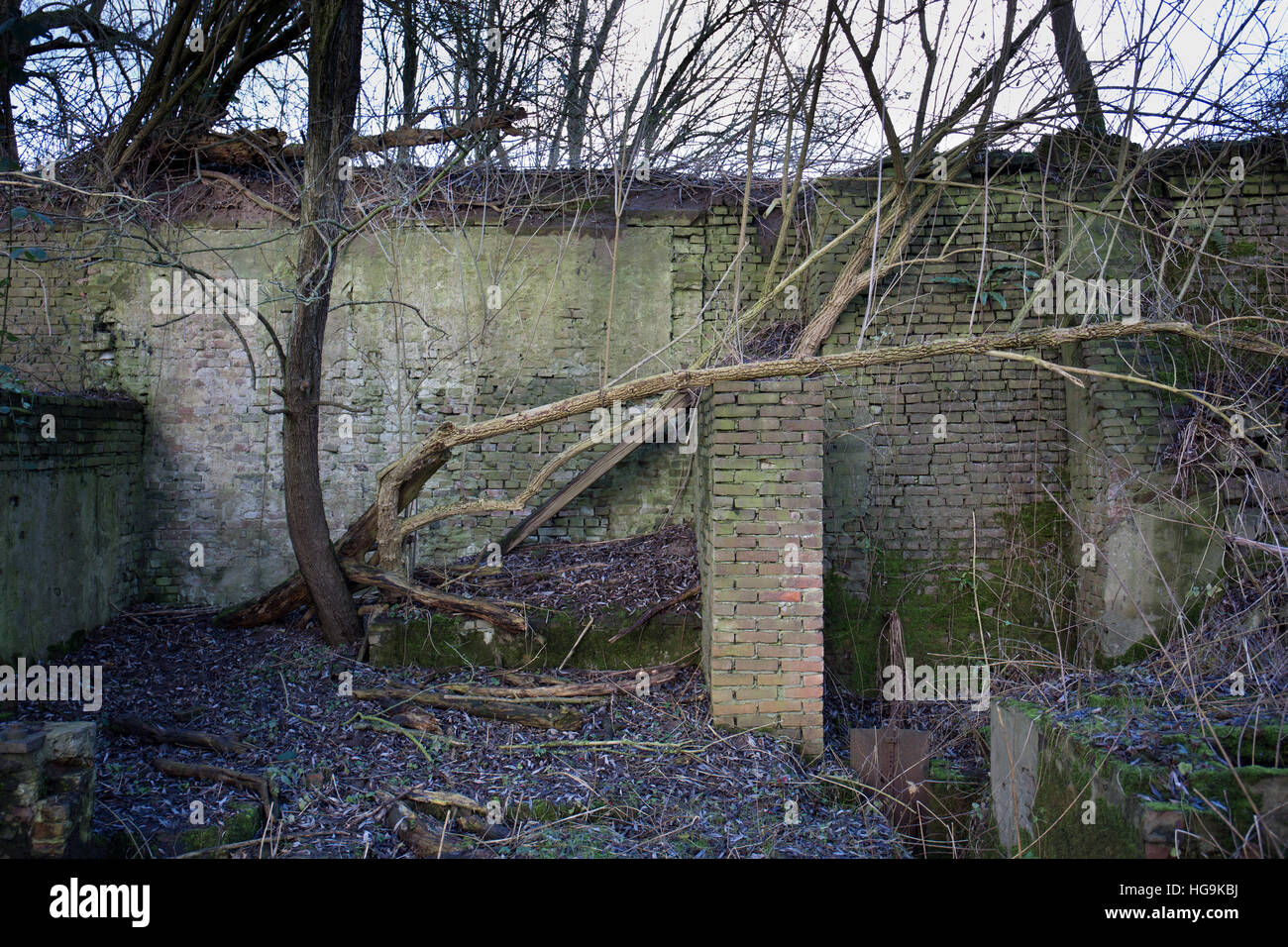 Brick ruin in a forest Stock Photo - Alamy