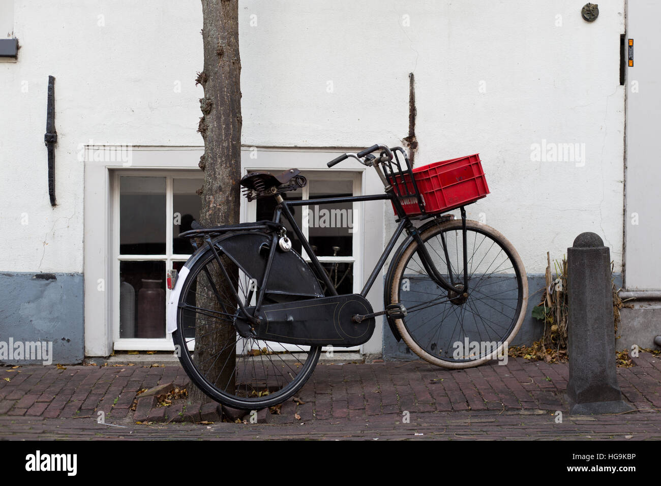 Typical Dutch old-fashioned men's bike parked against a tree in front ...