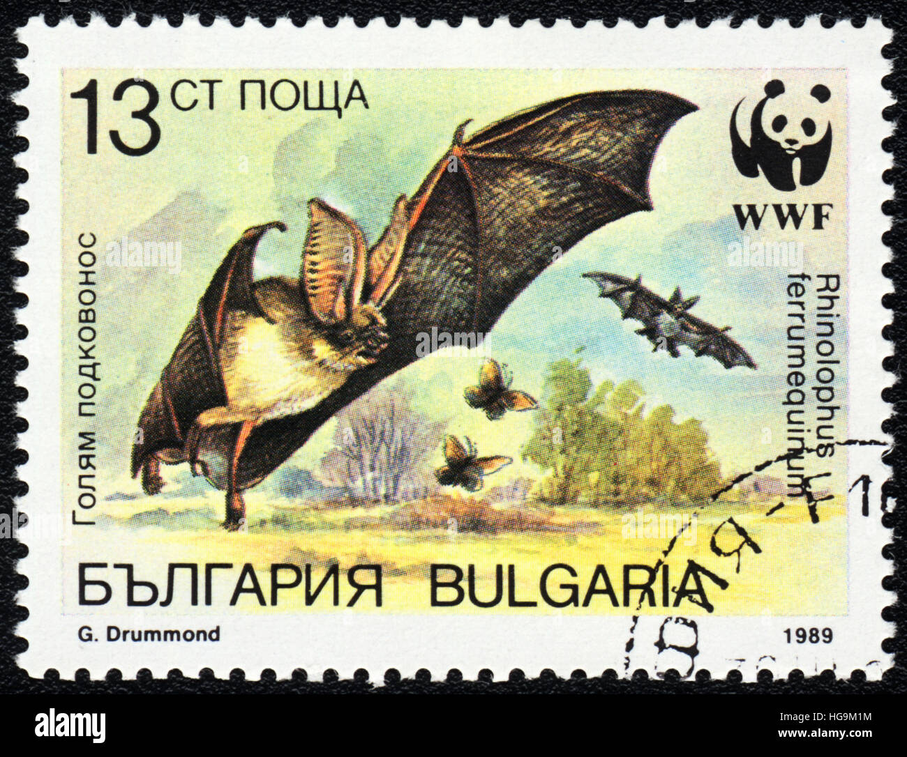 A postage stamp printed in Bulgaria shows Greater Horseshoe Bat ...