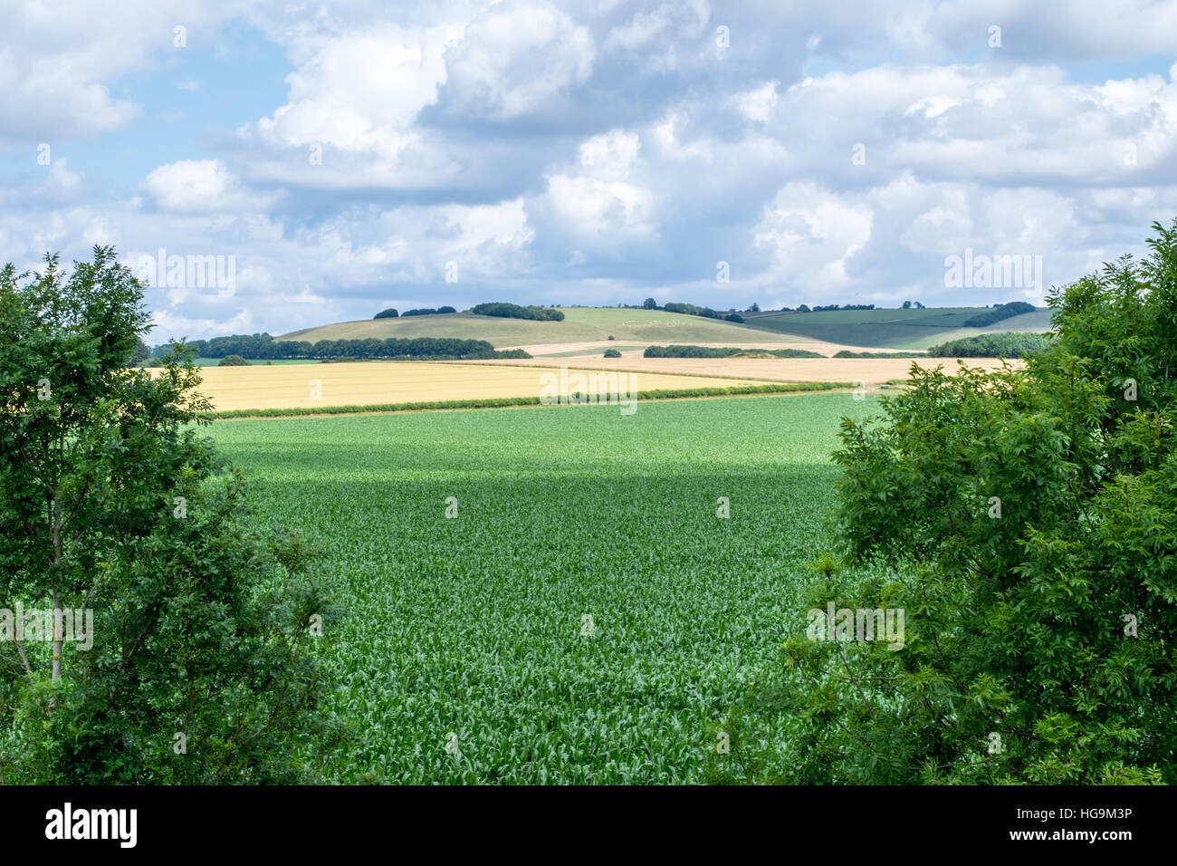 Wiltshire Country Side Stock Photo - Alamy