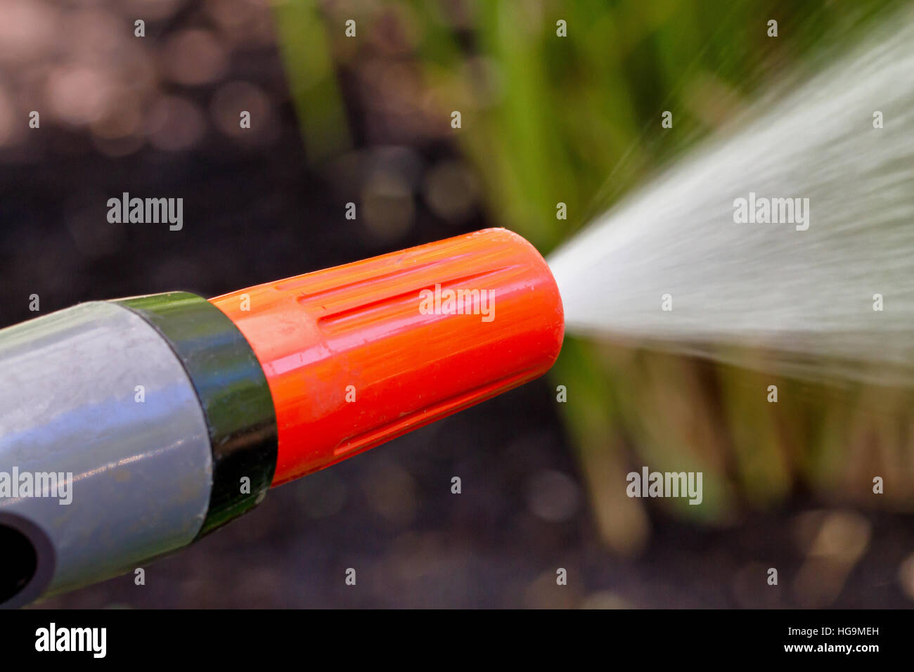 Water hose with water jet Stock Photo - Alamy