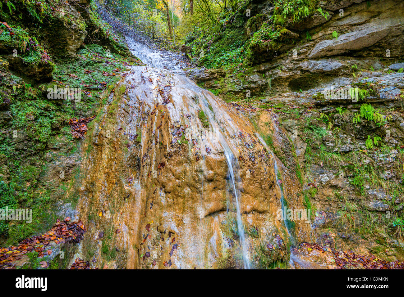 Beautiful landscape with forest waterfall and lush foliage in autumn ...