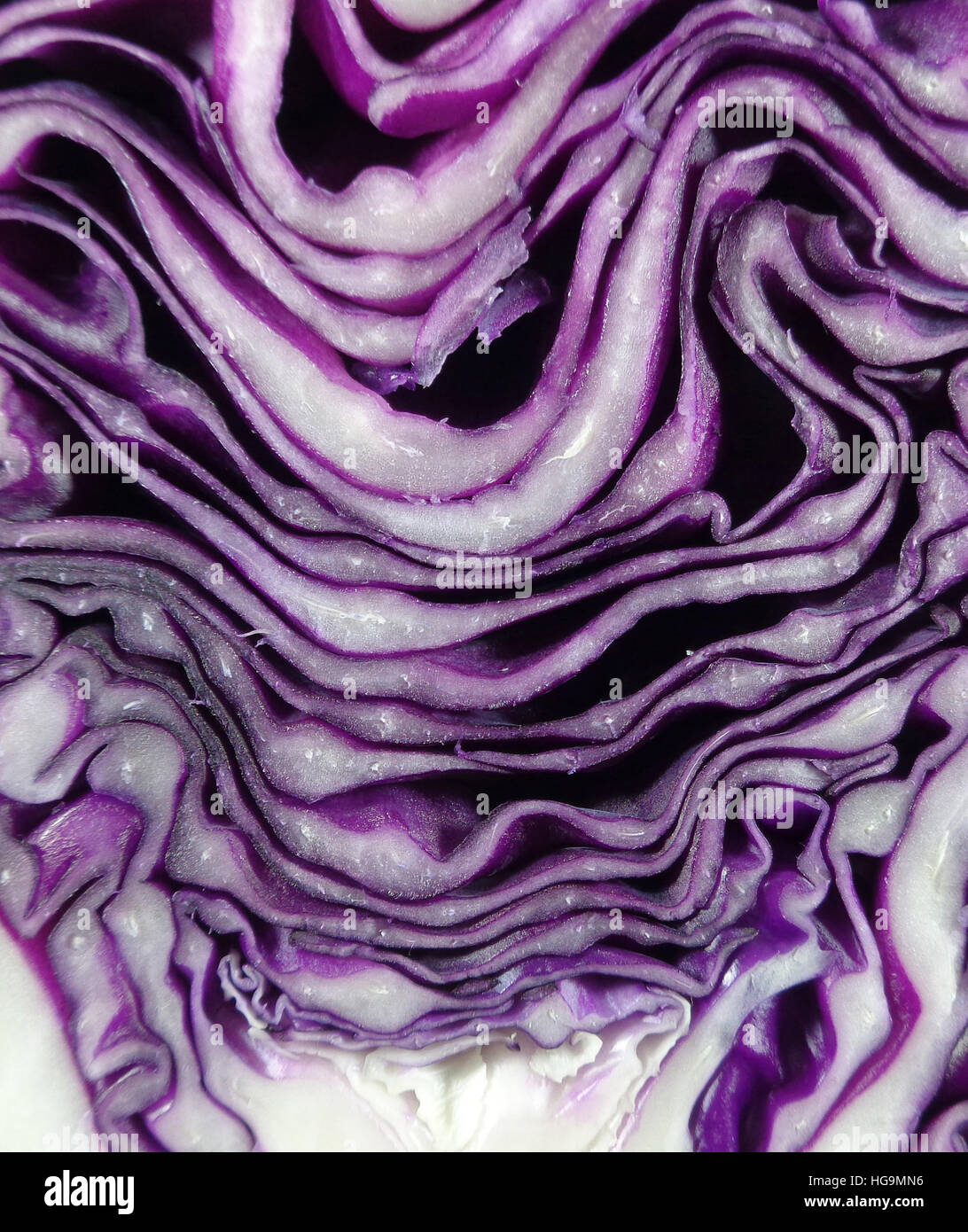 Closed up Pattern and Texture of Fresh Ripe Purple Cabbage Cut in Half ...